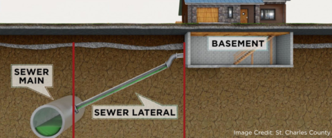 Lateral (Sewer) | DILIGENT