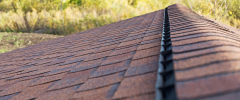 Ridge Vent | DILIGENT