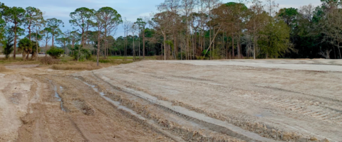 Lot Grading | DILIGENT